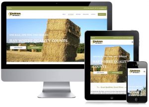 Portfolio - Longevity Graphics